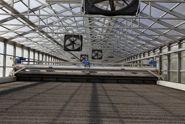 Greenhouse Solar Dryer – Effective Drying Solution